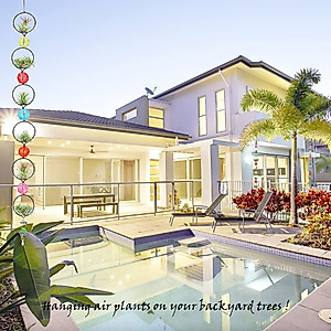 Tillandsiart Air Plant Hanger (Rings & Balls Tillandsia Air Plant Hanging Planter Set) A Unique DIY Kit for You to Hang Air Plants Indoors or Outdoors - Air Plants Not Included.