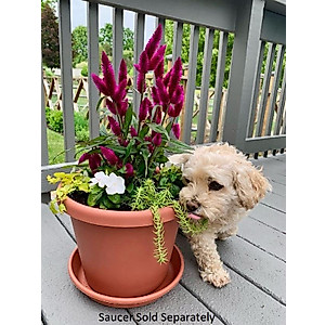 The HC Companies 15.5 Inch Round Classic Planter - Plastic Plant Pot for Indoor Outdoor Plants Flowers Herbs, Warm Gray