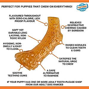 Nylabone Puppy Chew Gentle Chewing Puppy Antler Alternative Chicken Flavored Dog Chew Toy, Petite