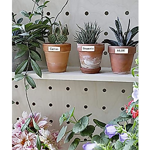 Tz Tape 18mm 0.7 Laminated White Replacement for TZe-241 TZe Ptouch Black on White Compatible with Brother P-Touch Label Maker Refills PTD400 PTD600, 3/4 Inch x 26.2 feet, 2 Pack