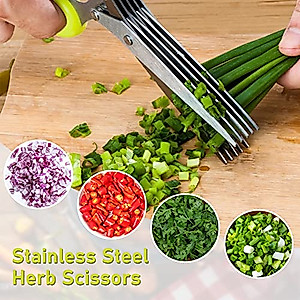 Herb Keeper Set, Herb Saver for Refrigerator, Herb Scissors, Pack Herb Stripper Herb Saver Pod Keeps Greens Fresh for 2-3 Weeks(size:2pc)