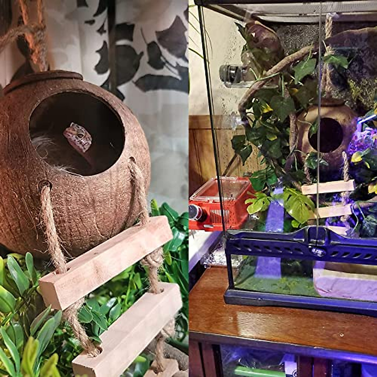 MUYG Lizard Coco Den with Ladder,Crested Gecko Coconut Husk Hut Reptile Shell Hideout Home Climbing Plants Tank Decor Terrarium Plastic Plant Leaves for Bearded Dragon Chameleon Snakes