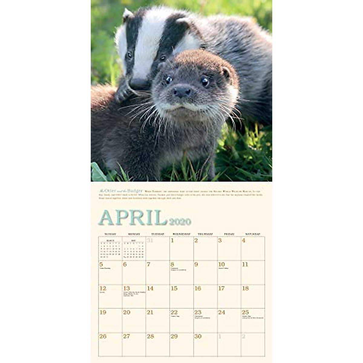Unlikely Friendships Wall Calendar 2020