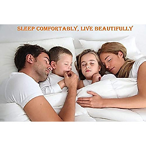 European Square Pillow Shams Set of 2 White 600 Thread Count 100% Egyptian Cotton Pack of 2 Euro 26X26 White Pillow Shams Cushion Cover, Cases Decorative Pillow Covers (White,European 26 x 26)