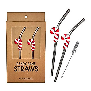 Holiday Metal Straws - Candy Cane