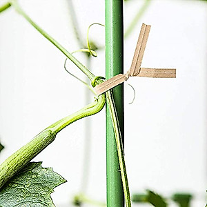 1000 Pcs 6" Twist Ties, Kraft Paper Twist Ties Plant Ties Cable Ties Reusable Bread Ties for Party Cello Candy Coffee Treat Bags Cake Pops (6")