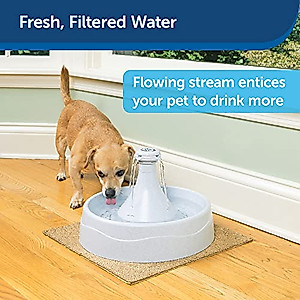 PetSafe Drinkwell 360 Multi Pet Drinking Fountain - Customizable Automatic Water Dispenser for Cats and Dogs - 128 oz Fresh, Filtered Water Capacity for Healthy Pets - Filter Included