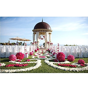 Nine to Nine Pack of 1000 Rose Petals, Artificial Flowers for Decoration Wedding Party(Royal Blue)