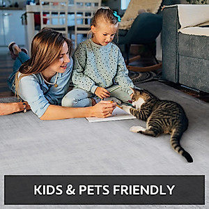 5x7 Area Rugs for Living Room, Machine Washable Non Slip Area Rug Modern Abstract Indoor Rug Carpet Ultra Soft Rugs for Bedroom Dining Room Playroom Bedside Office, Grey