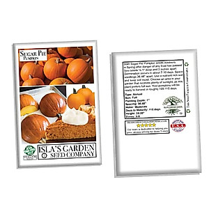 "Sugar Pie" Pumpkin Seeds for Planting, 20+ Heirloom Seeds Per Packet, (Isla's Garden Seeds), Non GMO Seeds, Non GMO Seeds, Botanical Name: Cucurbita Pepo, This Variety is for Making Pumpkin Pie!