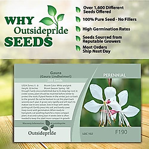 Outsidepride Gaura Drought Tolerant Garden Flowers - 200 Seeds