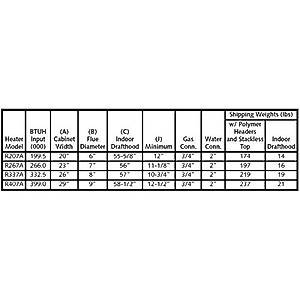 Raypak Digital Low NOx Natural Gas 266000 BTU Pool Heater 009241