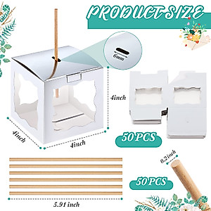 Dandat 50 Pieces 4 x 4 x 4 Inch Candy Apple Box with Hole and Stick Paper Caramel Apple Boxes Cookies Chocolate Gift Treat Boxes with Clear Windows Caramel Apple Containers for Wedding Christmas