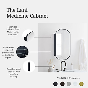 GRACTO Arched Metal Surface Mount Medicine Cabinet with Mirror Rectangle Bathroom Cabinet, 18'' W x 29'' H