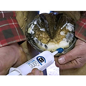 B Gone Easy to Apply Horse White Line Disease Hoof Wall 12 Dose 60 cc Gel Tube Treatment