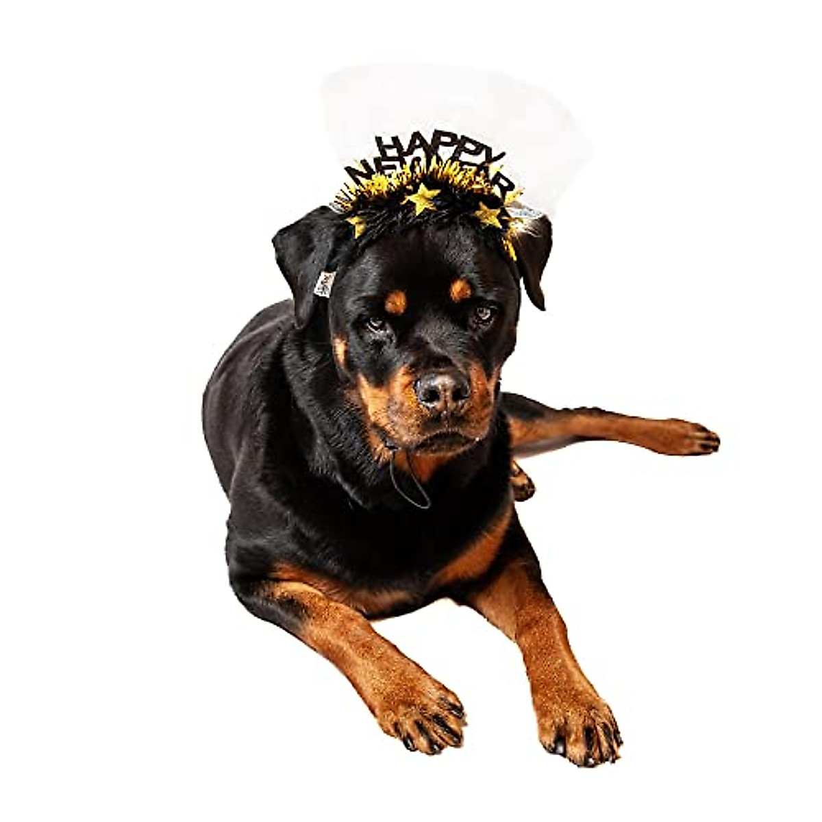 Midlee Happy New Year Dog Headband