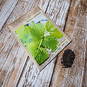 Lemon Balm Seeds - 1 Pound - Herb Seeds, Open Pollinated Seed Attracts Bees, Attracts Butterflies, Attracts Hummingbirds, Attracts Pollinators, Easy to Grow & Maintain, Fragrant, Container Garden