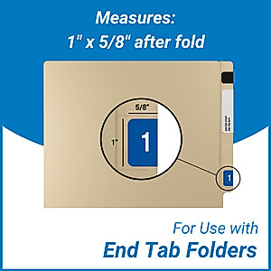 Doctor Stuff - File Folder Labels, Number 1, Compatible with SMEAD DCCRN - SENM Series Chart Stickers, Blue, 1" x 1-1/4", #1, 500/Roll
