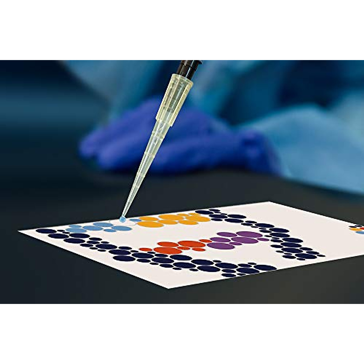 Edvotek S-45 Pipetting by Numbers: STEAM Pipetting Practice, for 10 Lab Groups