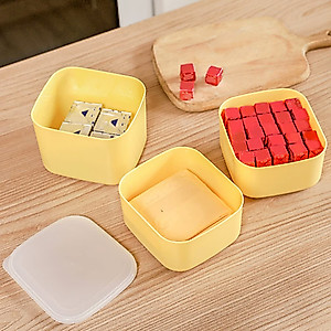 Luxshiny 2pcs Cheese Slice Holder Cheese Keeper Box Reusable Butter Box Plastic Cheese Storage Containers Airtight Fresh Keep Cheese Case with Lids for Home Kitchen Fridge