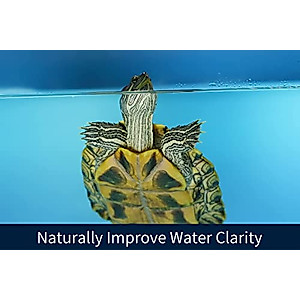 Snout & Shell Liquid Aquarium Cleaner for Turtles - Concentrated Bottle Treats 960 Gallons - Reduce Tank Maintenance & Improve Water Safety, 16 Oz