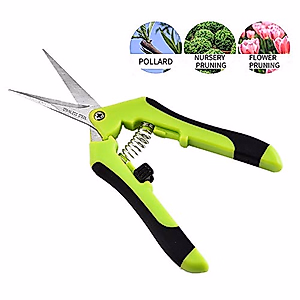 JF-XUAN Shear Tool Multifunctional Pruning Shears Garden Small Scissors Fruit Picking Scissors Trim Weed Household Potted Branches Gardening Tools (Color : As pic5)
