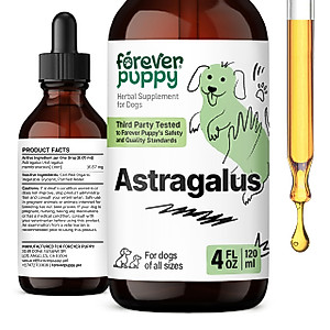 Astragalus Root for Dogs - Immune Support for Dogs w/Astragalus Root - Pet Supplements for Immunity w/Astragalus Liquid Extract - Herbal Dog Immune Vitamins and Supplements - Joyful Pet Care - 4 oz