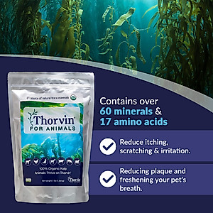 Thorvin Kelp For Animals | Organic Supplement for Skin, Coat, Digestion and Optimal Health | Suitable for Dogs, Cats, Horses, and Livestock | 3lb