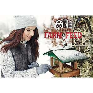 FAMILY FARM AND FEED | Four Season | Black Oil Sunflower Seed | 4 Pounds | Wild Bird Food | Backyard Songbird