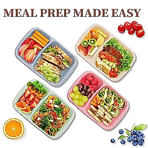 Luriseminger 4 Pack Bento Lunch Box，2 Compartment Snack Containers，Meal Prep Containers Kids/Toddle/Adults,Food Storage Containers for School, Work and Travel (2 Compartment-Multicolor)
