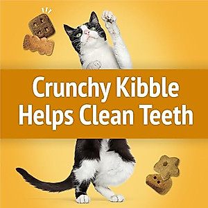 Purina Friskies Cat Treats, Party Mix Cheezy Craze Crunch - 20 oz. Pouch