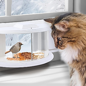 POOKULA Window Bird Feeder, 180° Clear View Bird Feeder, Durable and Elegant in-Window Bird Feeder for Watching Birds - Embrace The Delight of Bird Feeder.