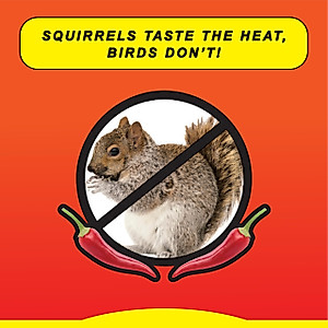 Wild Delight Sizzle N' Heat Bird Food, 5 lb