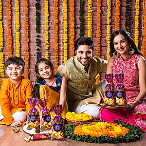 100 Pieces Happy Diwali Party Favor Bags, Festival of Lights Gift Candy Bags with Twist Ties Cellophane Plastic Treat Goodie Bags for Diwali Party, Indian Lights celebration Party Supplies Decoration