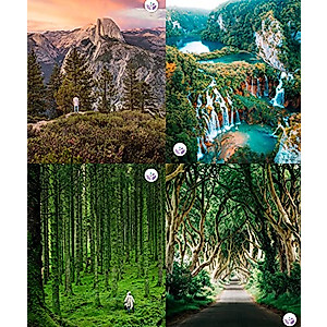 KIRI Biodegradable Tree Urn for Cremated Ashes - Eco Burial Urn. Grow a Living Memory Tree from The Ashes. Tree Seed (Apple Tree)