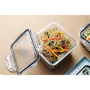 gotman Airtight Food Storage Containers with Lids Set | BPA-Free Meal Prep Container | Microwave, Freezer and Dishwasher Safe Leak-Proof | Kitchen Fridge Organizer Fruit Boxes(40.6 OZ)