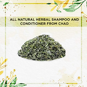 Roselle Naturals Ambunu Shampoo 150 grams, Detangler Shampoo from Chad, Africa, Ambunu Leaves for Hair Growth Shampoo Herbal, Ambunu Powder Herbal Shampoo Organic, African Shampoo for Hair Growth
