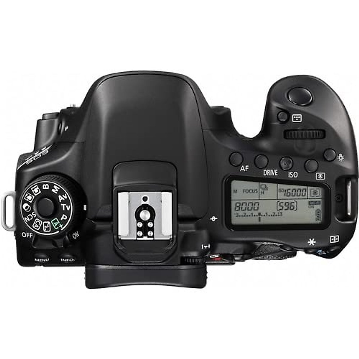 Canon EOS 80D DSLR Camera (Body Only) (1263C004), 64GB Memory Card, Case, Card Reader, Flex Tripod, Hand Strap, Cap Keeper, Memory Wallet, Cleaning Kit (Renewed)
