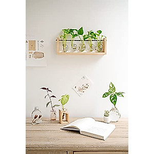 Mkono Plant Terrarium with Wooden Stand, Wall Hanging Glass Planter Desktop Plant Propagation Vase with Metal Swivel Retro Rack for Hydroponics Plants Home Office Decor (5 Bulb Vase)