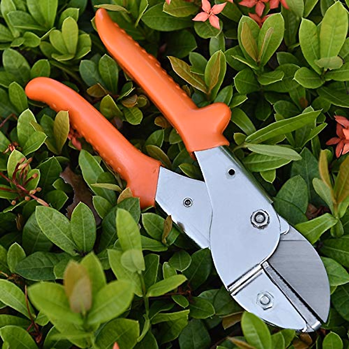 Steel Pruner Pruning Shears Grafting Scissors Horticulture Fruit Tree Shears Garden Pruner Tools Bonsai Gardening Secateurs