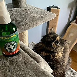 Meowijuana | 3 Oz. Premium Catnip Spray | Organic | High Potency | Use On Cat Toys, Teasers, and Scratchers | Grown in The USA | Feline and Cat Lover Approved