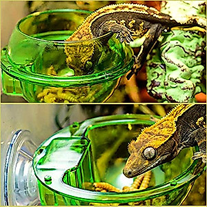 IAFVKAI Suction Cup Reptile Feeder 2PCS Reptile Food Water Feeding Bowl for Chameleon Tortoise Gecko Snakes Iguana Lizard