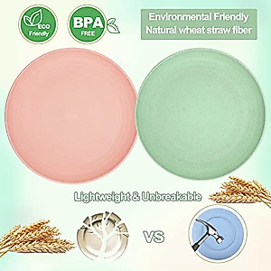 Dwrttow 12 Pack Wheat Straw Plates,9 Inch Lightweight Straw Plates,Plastic Plates Reusable,Unbreakable Deep Dinner Plates,Perfect for Dinner Dishes,BPA free & Eco-Friendly,Dishwasher & Microwave Safe