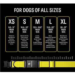 Fi Series 3 Smart Dog Collar - GPS Dog Tracker and Activity & Health Monitor, Waterproof, LED Light, Escape Alerts, Nationwide Coverage [Free 1 Year Membership] (Blue, Large)