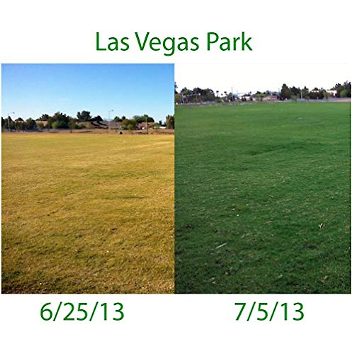 Premium Nutrient Rich Lawn Top Dressing Turf Expanding Coco Coir Mix – 10 LB Covers up to 400 sq. ft. – Grow Thicker Greener Grass in Drought Heat Conditions – Save Water, Seed, & Fertilizer