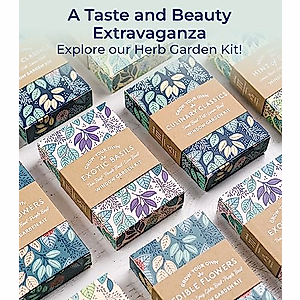 Herb Garden Kit Indoor - Grow Fresh Herbs Plants Hydroponically Indoors with this unique Window Garden Kit - Bottle Stopper Gardening Kit - Kitchen Windowsill Planter Grow Live Herbs At Home from Seed