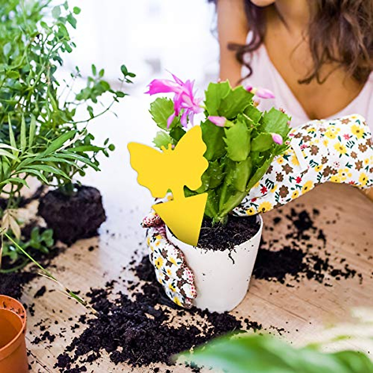 50 Pack Yellow Sticky Traps for Indoor Outdoor House Plant Flying Insect Catcher Like Fungus Gnats, Whiteflies, Aphids, Thrips, Other Flying Plant Insects