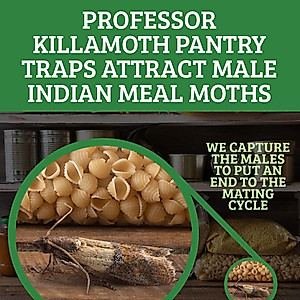 Pantry Moth Traps 6 Pack | Child and Pet Safe | No Insecticides | Premium Attractant