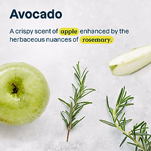 ATTITUDE Hair Shampoo for Sensitive Dry Scalp, EWG Verified, Soothing Oat, Dry and Damaged Hair, Naturally Derived Ingredients, Vegan and Plant-Based, Nourishing, Avocado Oil, 16 Fl Oz