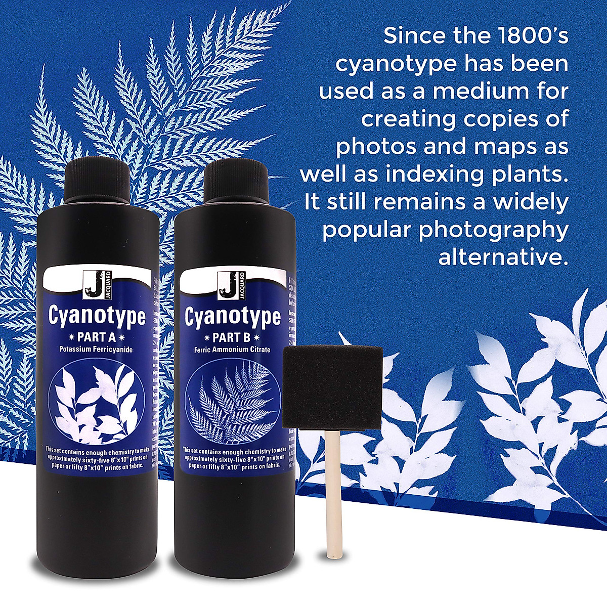 Jacquard Cyanotype - for Photographic Blueprints on Paper and Fabric - 2 Component Sensitizer Set - Bundled with Moshify Sponge Brush for Application